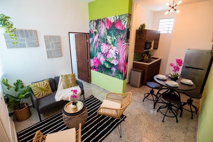 Casa Melaza「unit 1 「Alexie」i Walk To Beach - San Juan, Puerto Rico