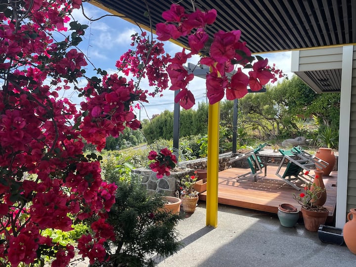 Under The Yellow Canopy, Mt Pleasant, Christchurch - Lyttelton