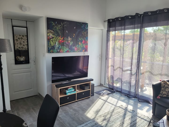 Magnifique Studio 30 M2 Sur Jardin Classé 3* Gdf - Thuir
