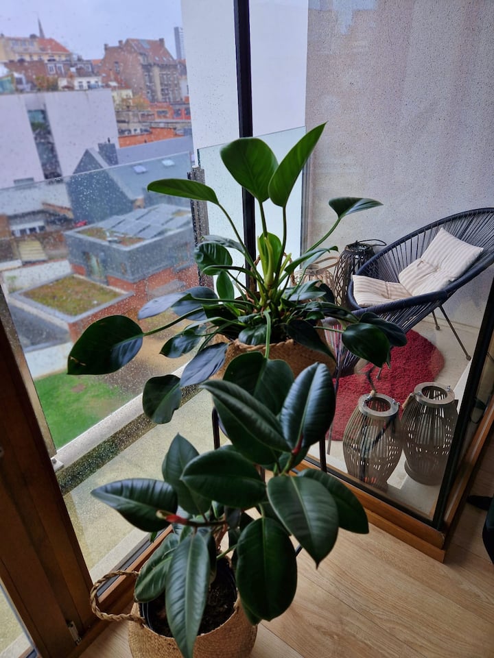 Splendid Duplex With Terrace, Parking Upon Request - Brussel