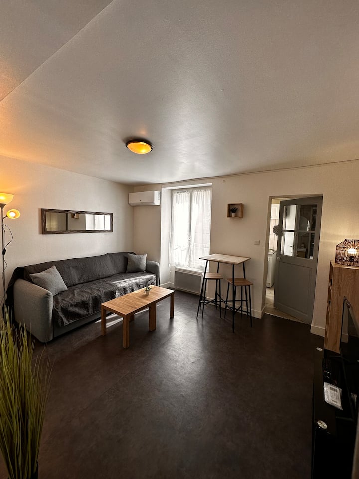 Bel Appartement Calme Et Lumineux, Hyper Centre - Orléans
