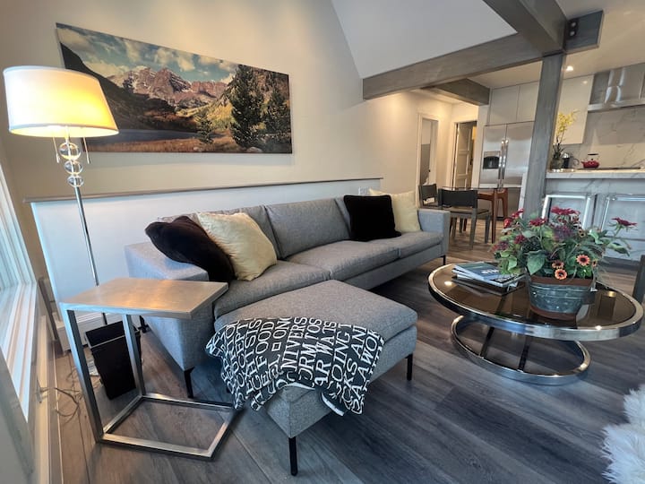 Ski-in, Large 2br At Base Of Ajax. New Renovation! - Aspen, CO