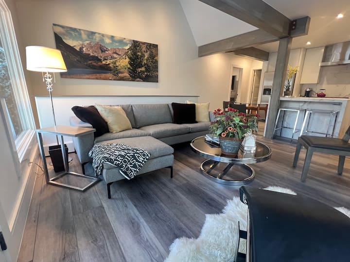 Lux New Rehab Lg 2br. Walk To Gondola. Great Views - Aspen, CO