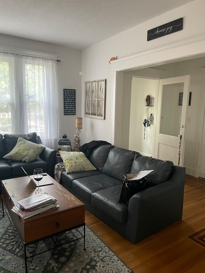 Cat Haven - New Haven, CT