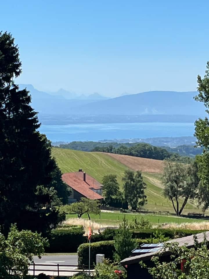 Nyon District Vacation Rentals & Homes - Switzerland | Airbnb