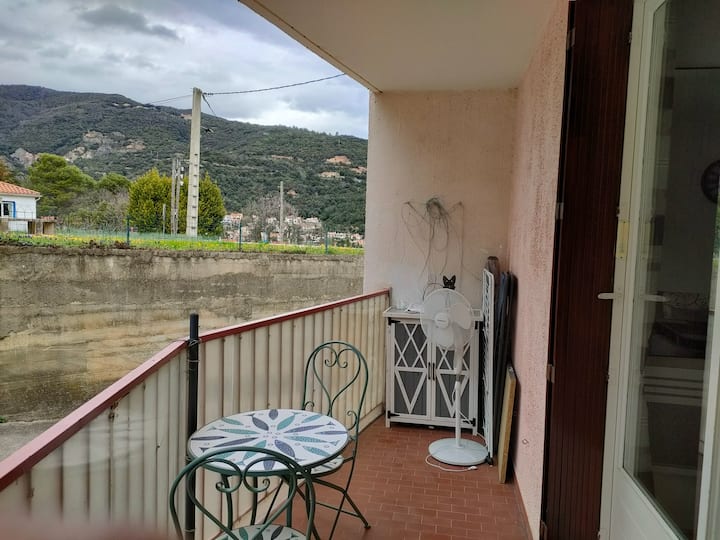 Amélie Les Bains 5 Mn Thermes - Amélie-les-Bains-Palalda