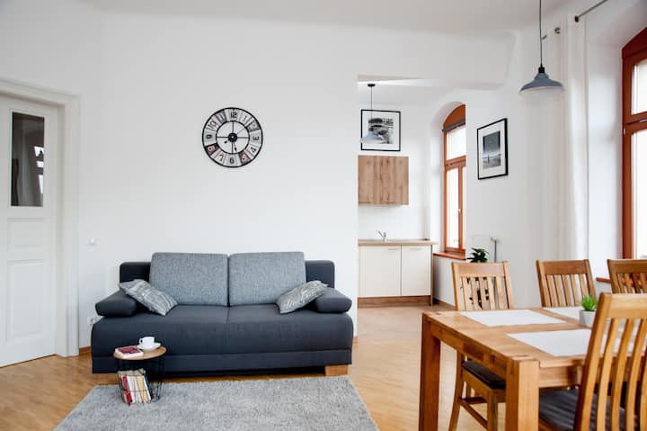1-raum-wohnung Zentral Gelegen - Dresden
