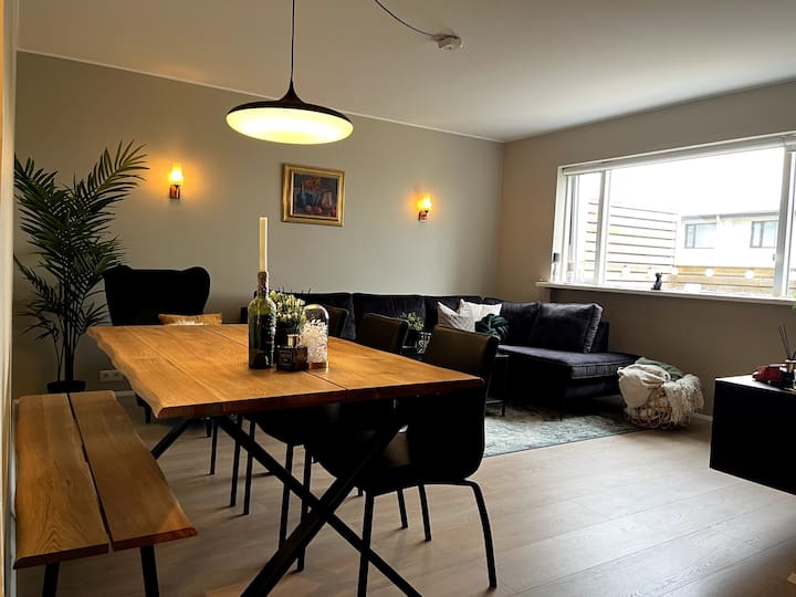 Cozy Apartment In Reykjavík - Reykjavík