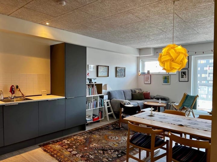 Beautiful Cozy Apartment - Greenland