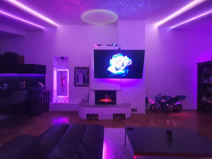 Purple Rose - Pančevo