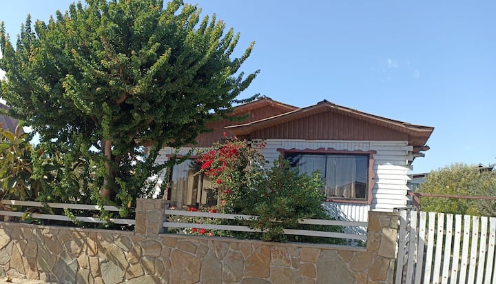 Bella Casa En Laguna De Zapallar - Zapallar