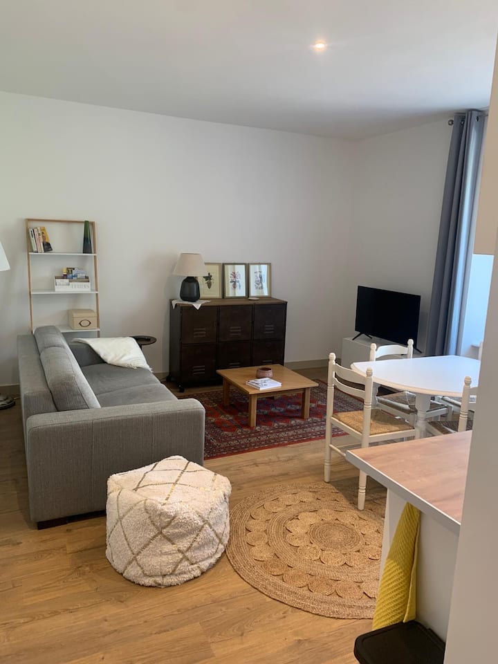 Appartement Face Au Parc - Luxeuil-les-Bains