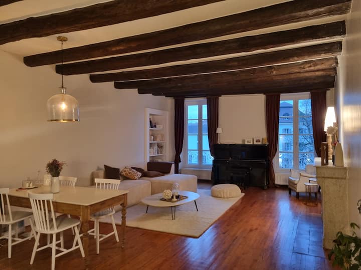 Appartement De Charme En Plein Centre D'annecy - Annecy