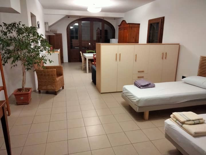 Monolocale A San Pietro - Castel San Pietro Terme