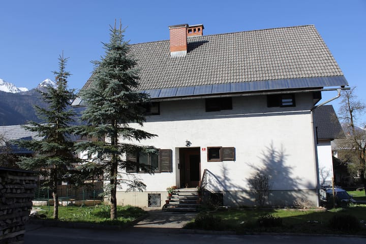 Silverdale Apartment - Bohinjska Bistrica