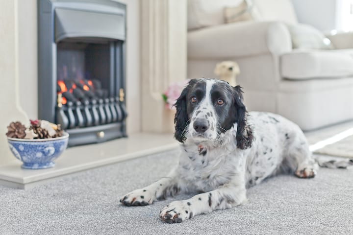 Lothlorien - Grange-over-sands - With Bay Views - Grange-over-Sands