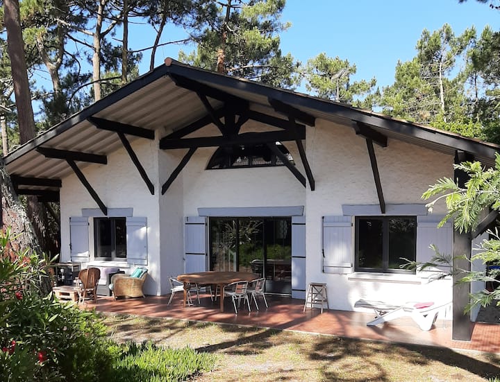 Villa Cap Ferret En Deuxième Ligne à 30m Du Bassin - Lège-Cap-Ferret