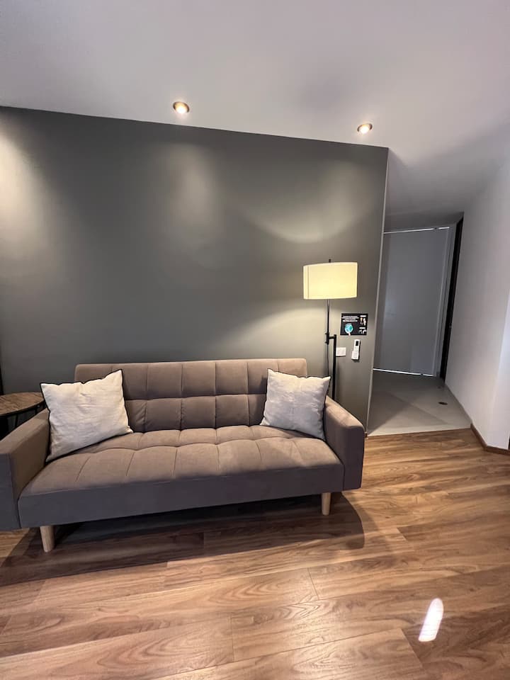 Moderno Loft Lomas 5 Con Terraza - San Luis Potosi