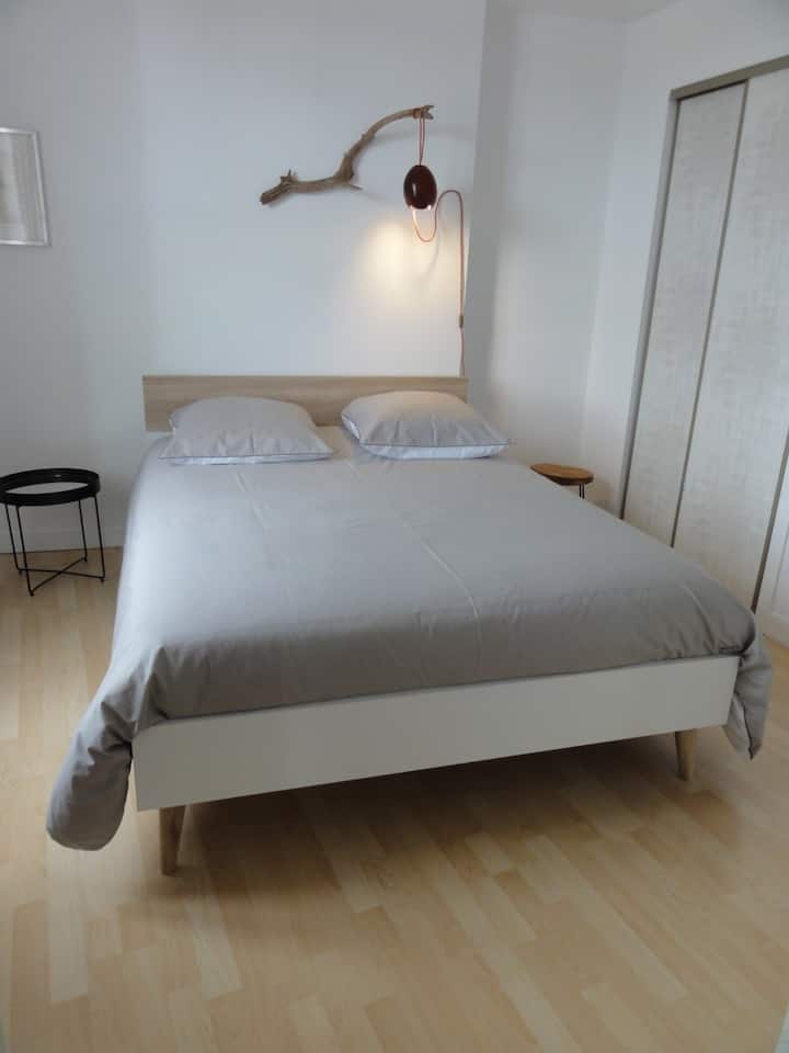 Centre Et Bord De Loire 50 M2 - Saumur