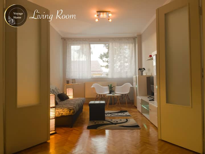 Voyage Home - Timișoara