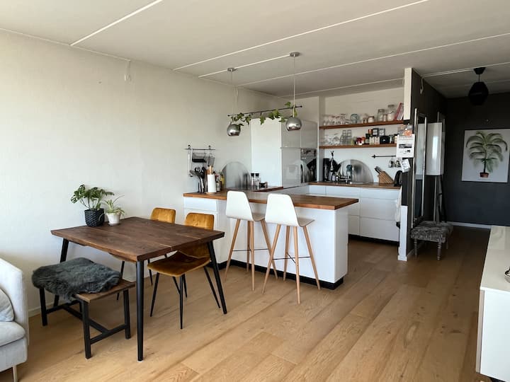 Hyggelig Lejlighed Med Udsigt Over Byen - Copenhague