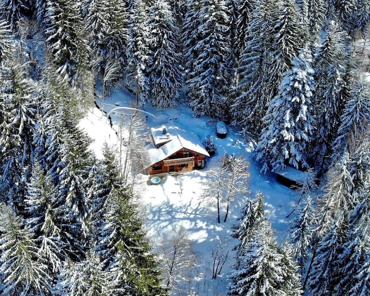 Tradizionale Ritiro Winter Wonderland - Situato Nella Foresta Privata Del Parco Nazionale - Argentière