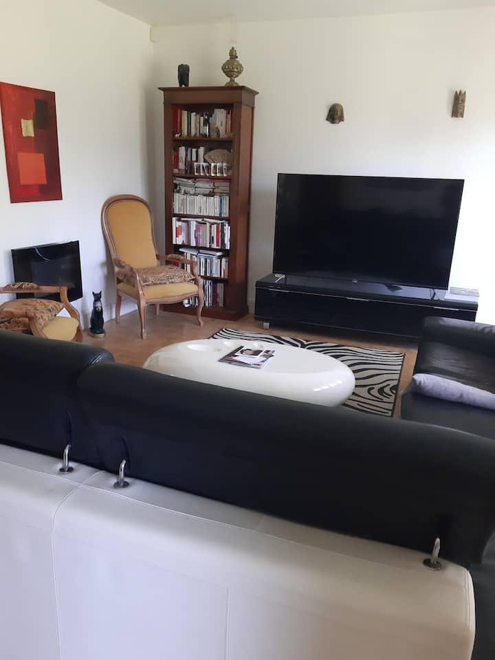 Bel Espace Au Milieu D'un Parc - Olivet