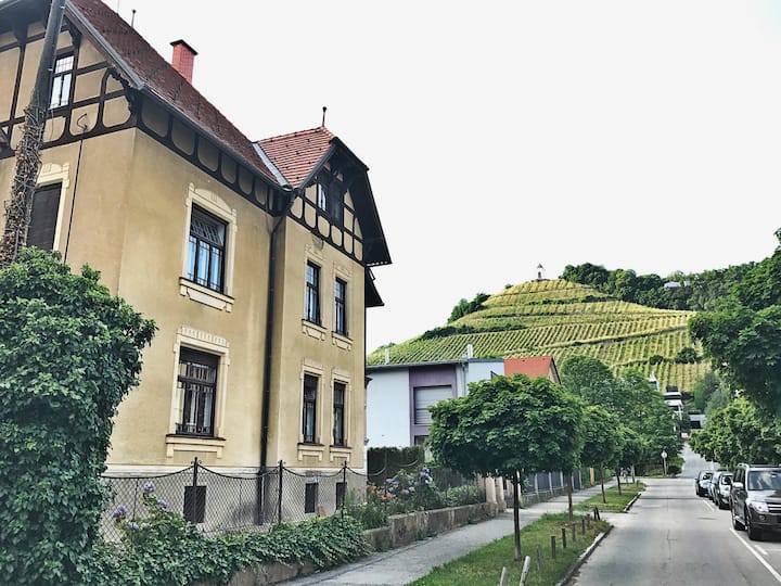 Villa Winter Maribor - Maribor