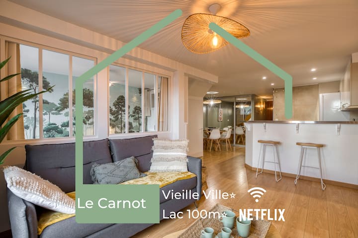 Le Carnot - Duplex Cœur De Ville Climatisé - Pringy