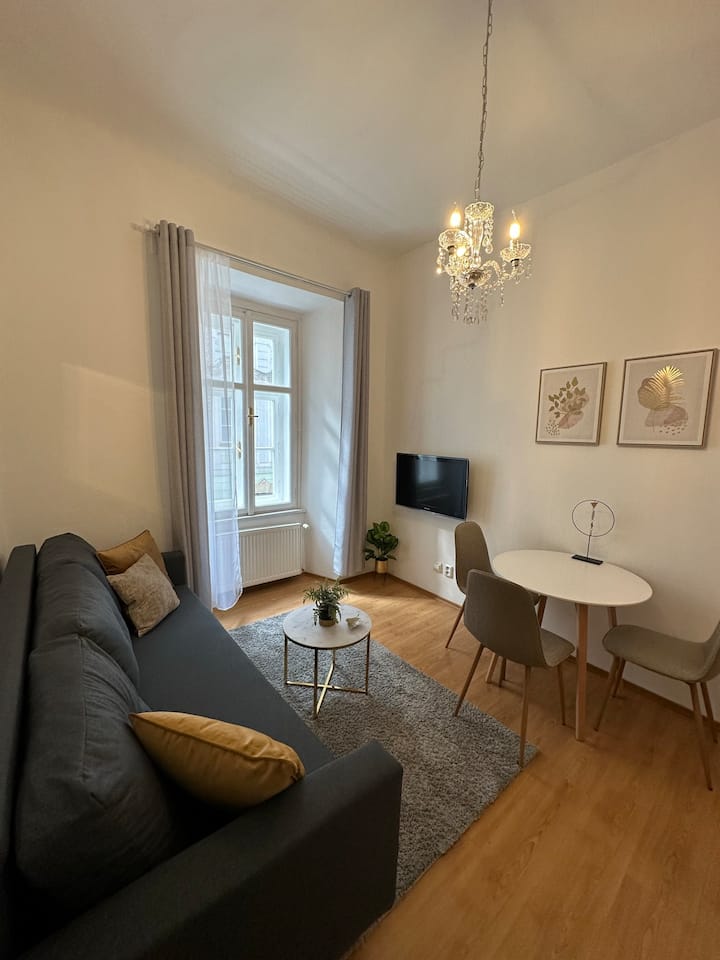 Classy Golden Tiger Apartment - Prague