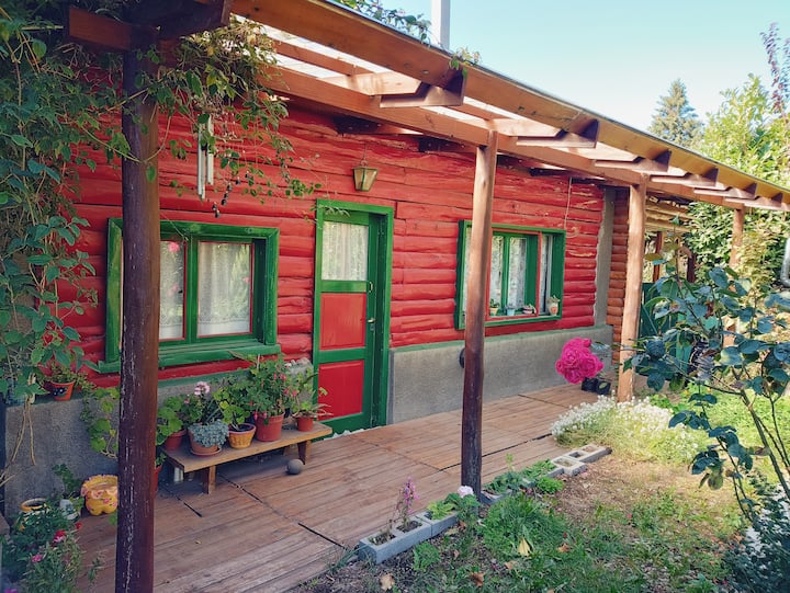 Enjoy This Cozy Cabin - San Carlos de Bariloche