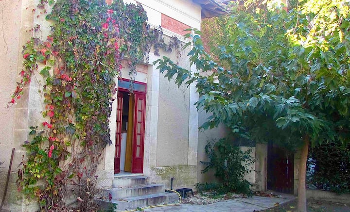 Chez Un Ornithologue En Camargue - Vauvert