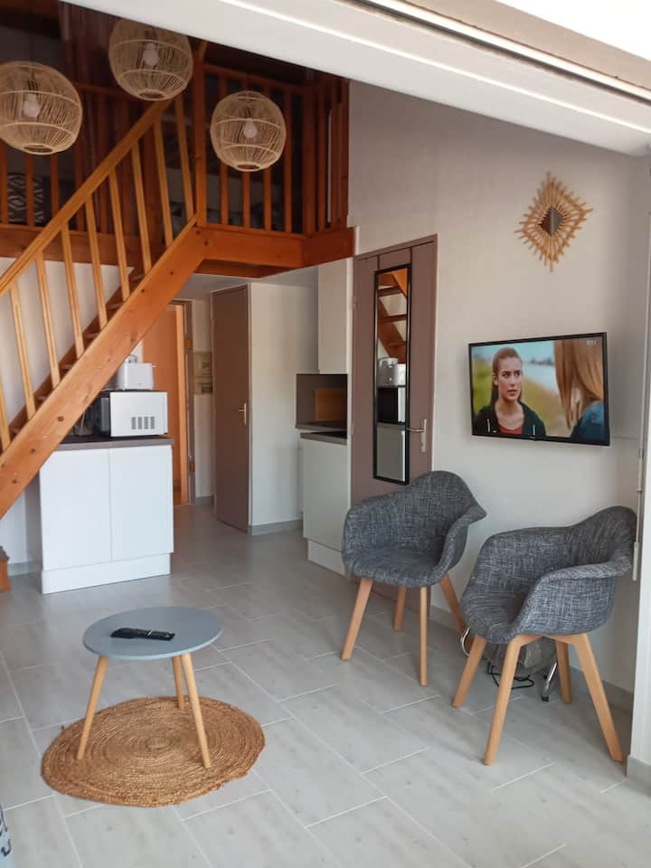 Apt. Cap D'agde 8 Pers.+ Piscine - Agde