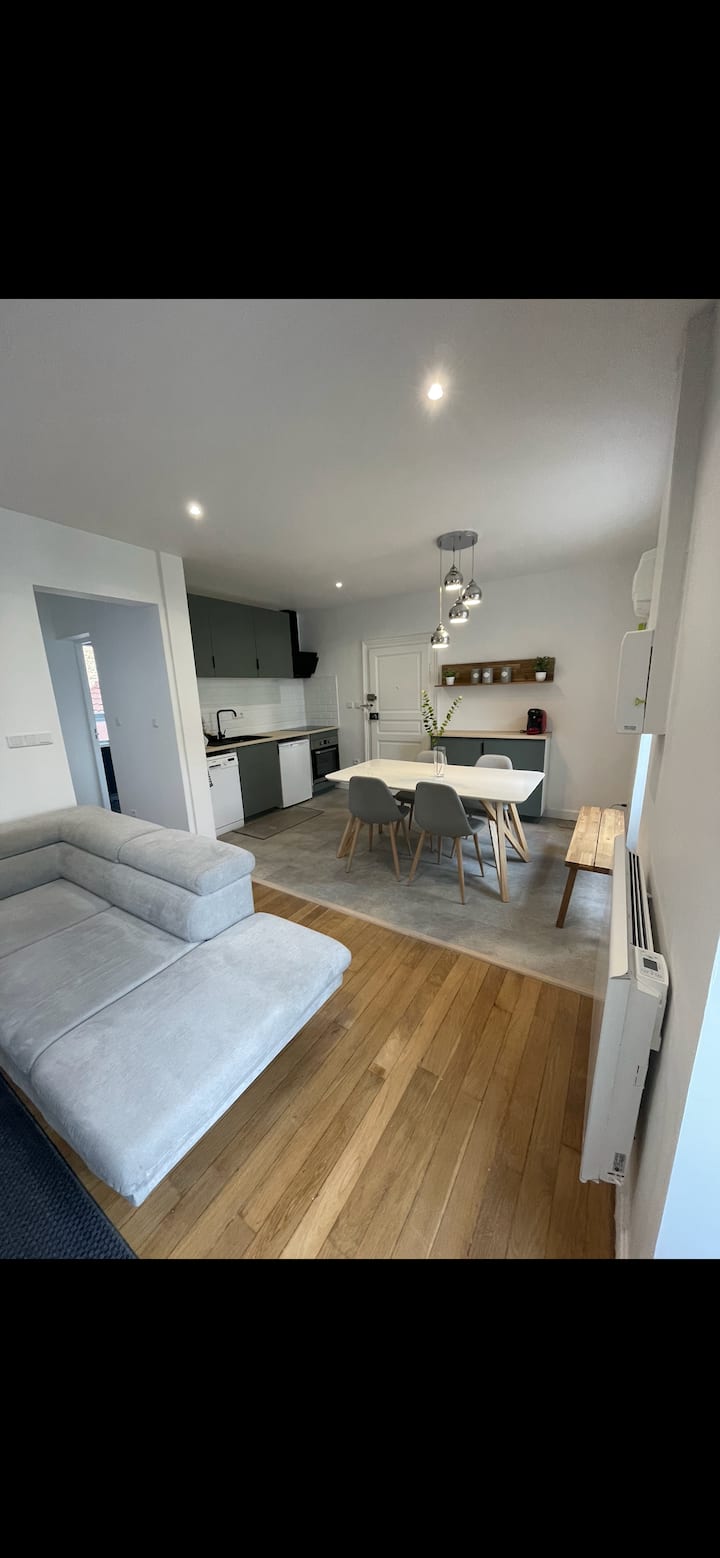 Appartement Au Coeur De Dijon - Dijon