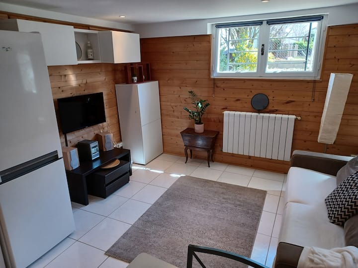 Appartement Dans Maison Au Calme Avec Jardin - Blagnac