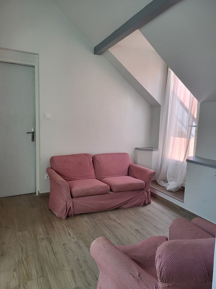 T3 Terrasse, Jardinet, 2 Sdb/wc - Chambéry