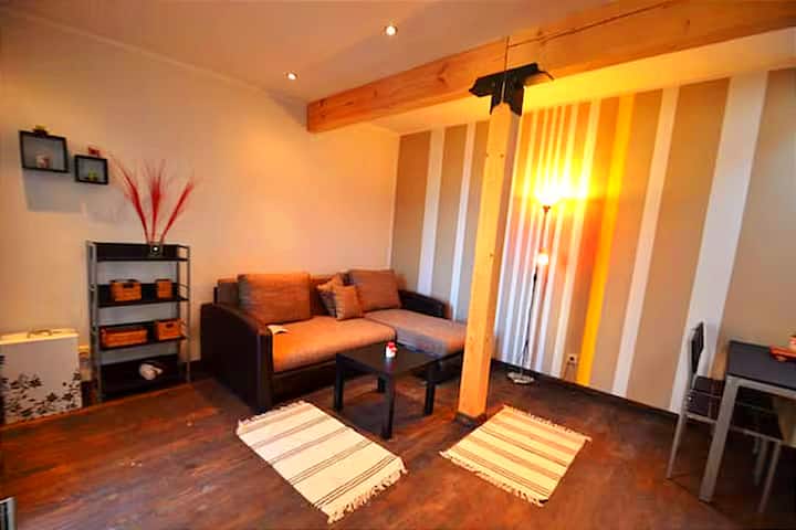 Cozy And Quite Loft Near Gertrudes Church - Riga