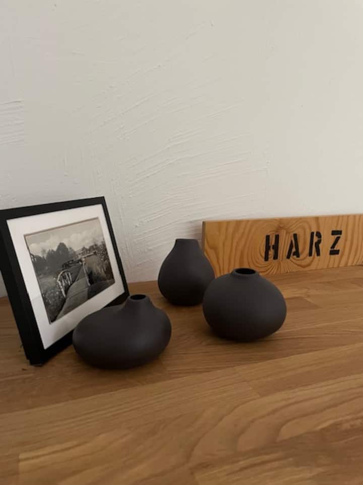 Ferienwohnung Little Bockslodge - Goslar