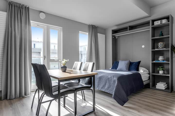 B18 Apartments - Deluxe Studio - レイキャビク