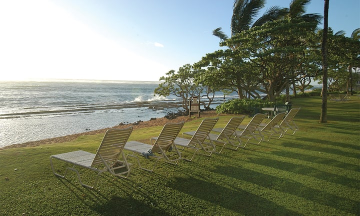 Oceanfront Resort : 1  Bedroom Condo: Kapaa! - Anahola Beach