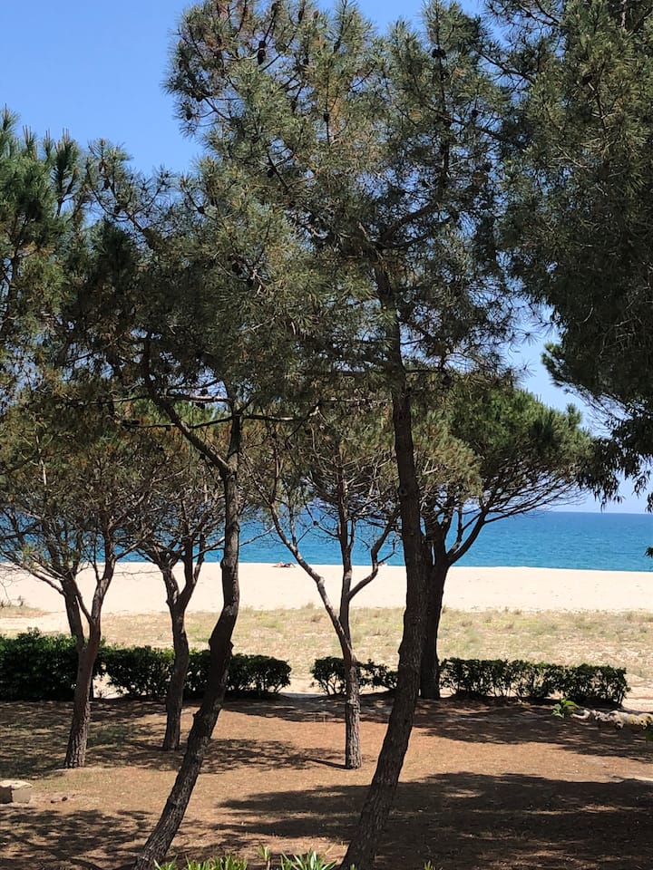 Agréable T2 Cabine-bord De Plage Et Belle Vue Mer - Argelès-sur-Mer