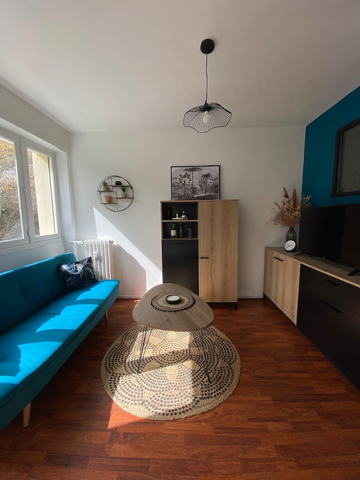 Cosy F2 Royat Thermes - Royat