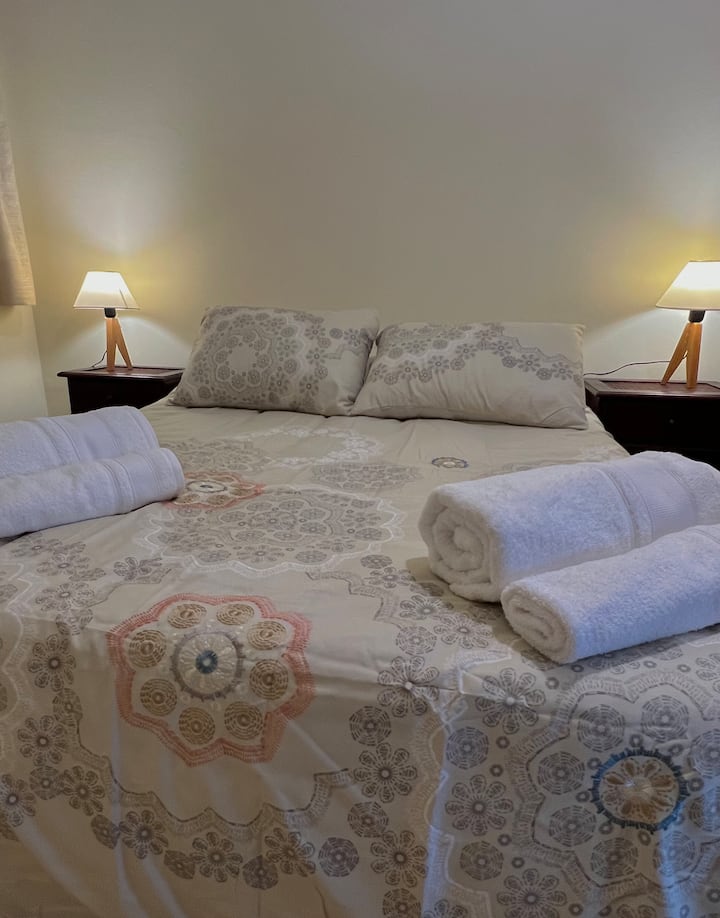 Departamento Zibá, Centro De Mendoza - Mendoza