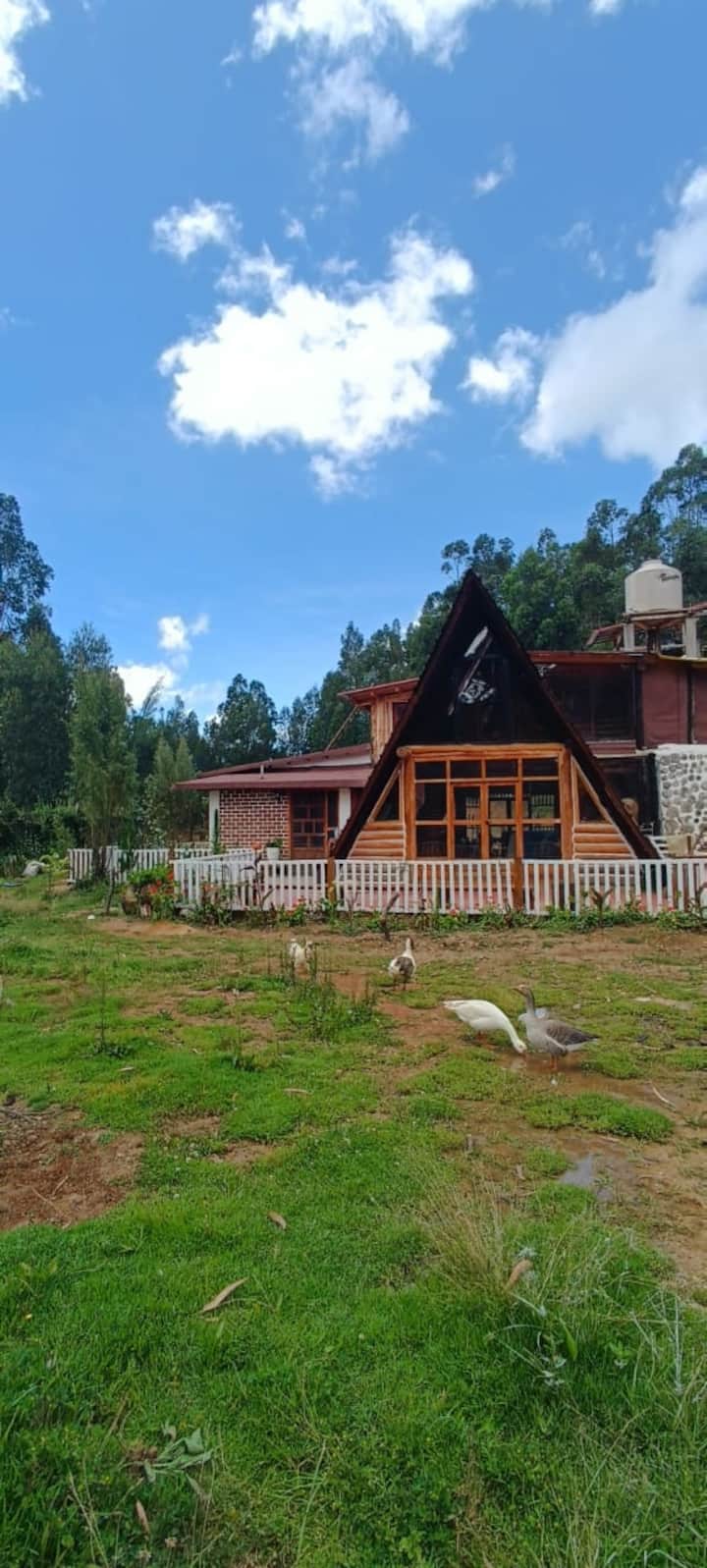 Campamento Lujoso. Cajamarca - San Marcos