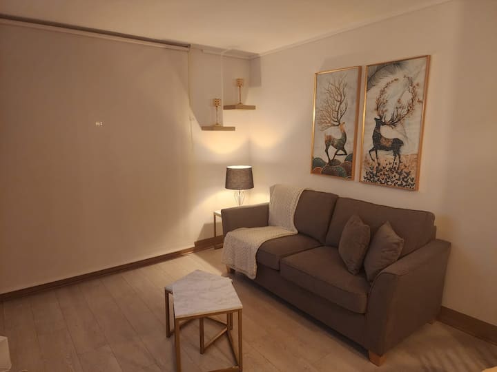 Apartamento Con Vista Al Mar - Concón