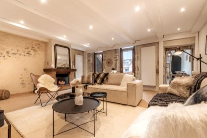 Superbe Appartement Centre-ville 100 M Du Lac - Annecy