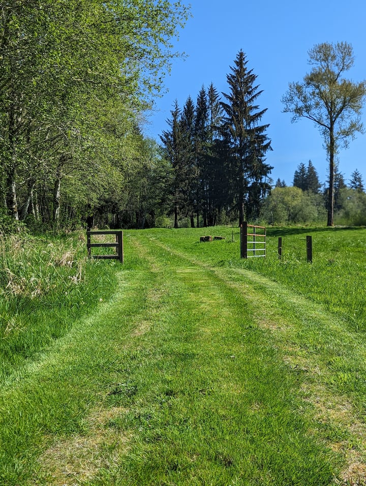 Private Campsite On 7 Acres - 포크스