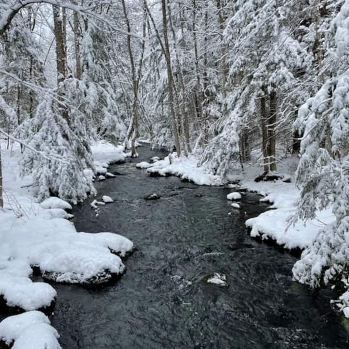 Cozy Crescent Cottage - Claremont, NH