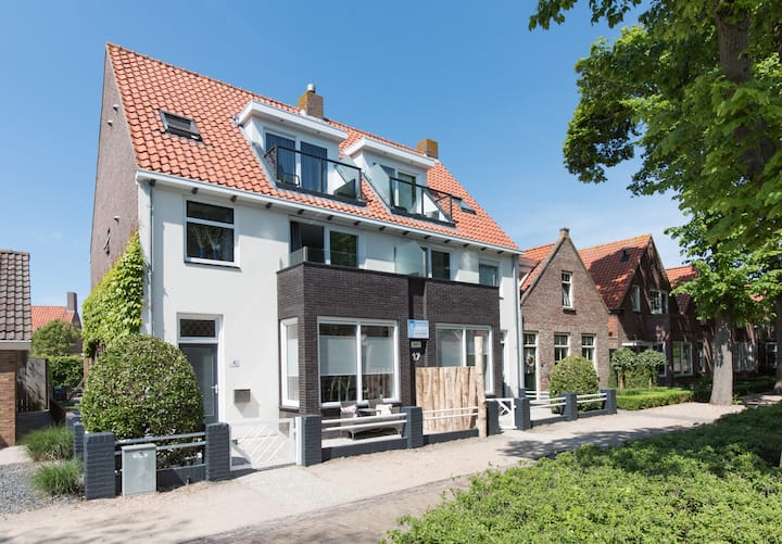 Kokmeeuw - Westkapelle