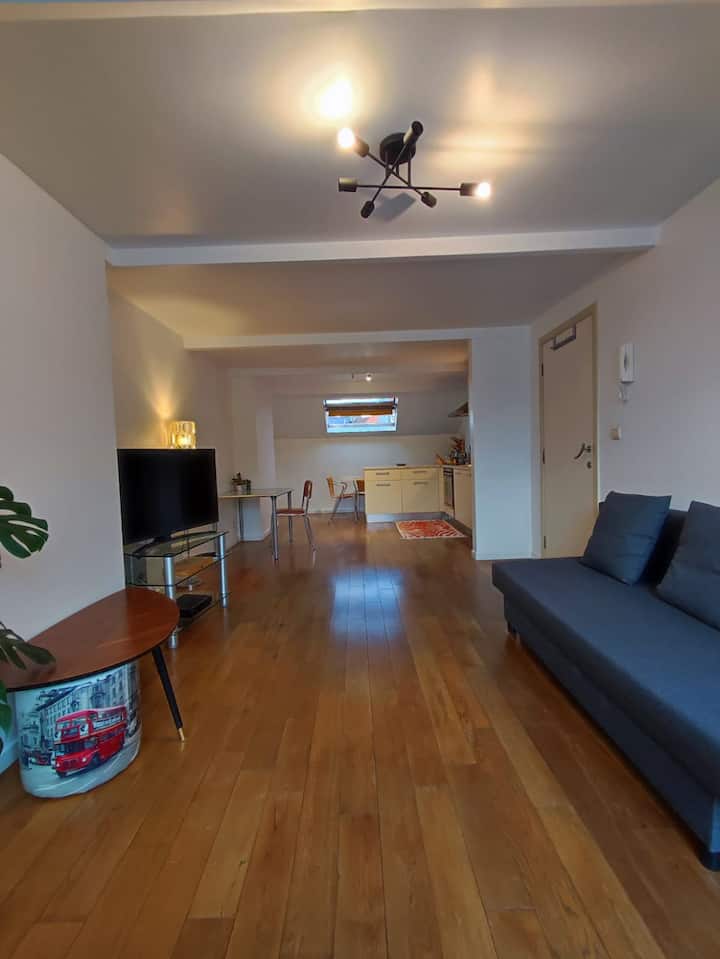 Duplex + Terrace In Center - Brussels